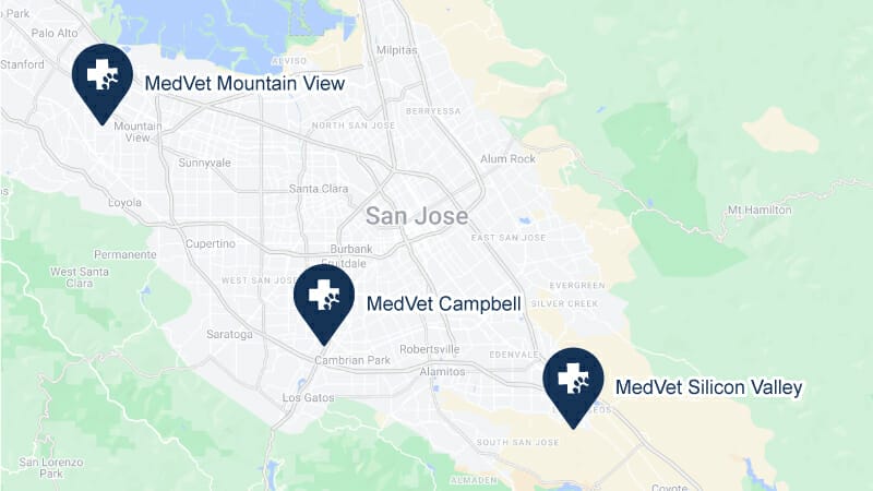 24/7 Emergency Vet & Specialty Care | MedVet Mountain View
