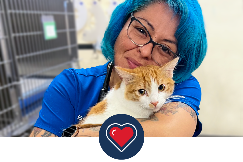 MedVet Experience | Leading Specialty Healthcare for Pets