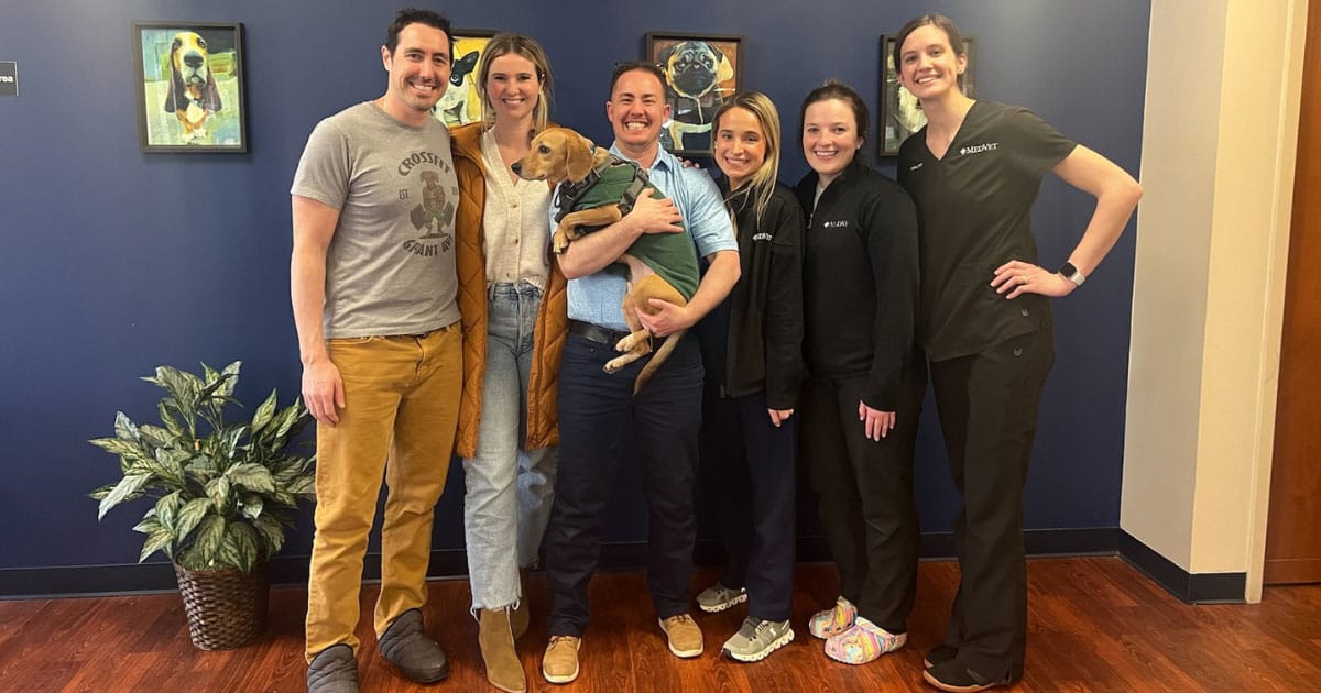 Veterinary Neurologist | Find a Pet Neurologist Near You