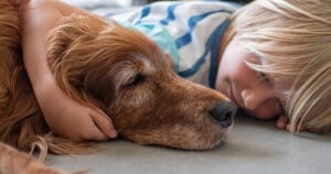 MedVet Blog | A Guide to Pet Euthanasia and Grief