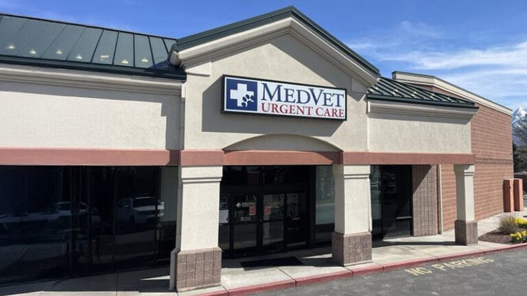 MedVet Urgent Care in Sandy, UT | Urgent Care for Pets