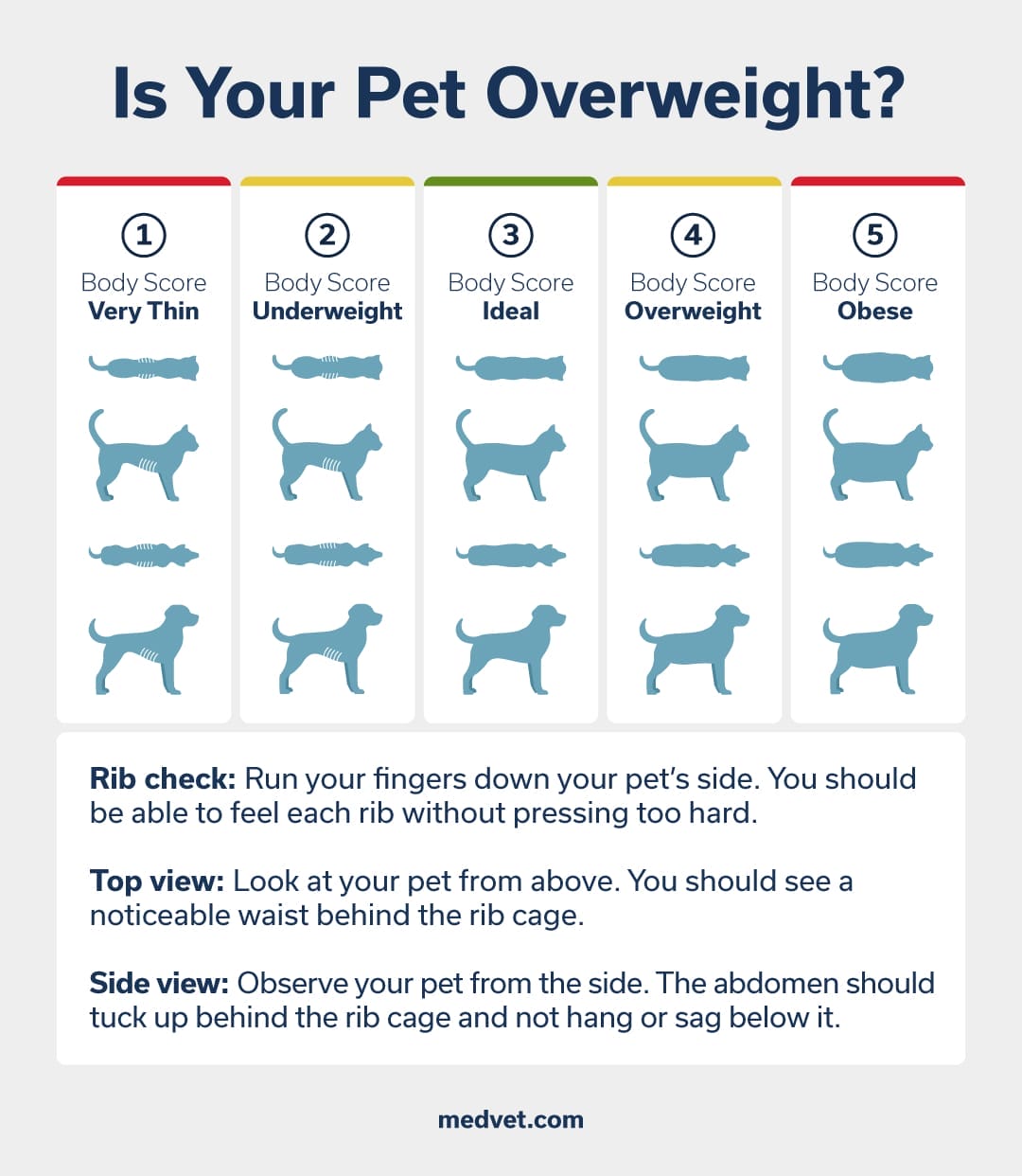 MedVet Blog | Health Risks of Overweight Pets